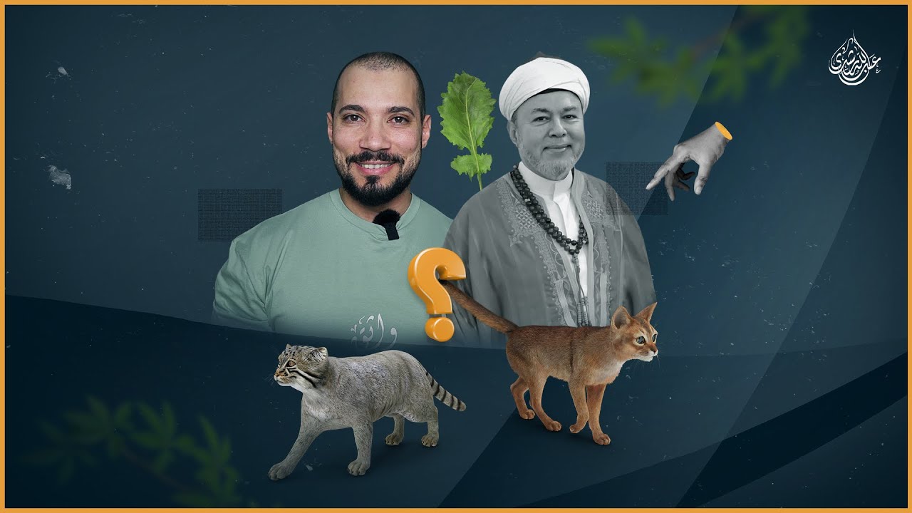 القصة الحقيقية للشيخ صلاح الدين التيجاني ولماذا السلفية تهاجم رموز ...