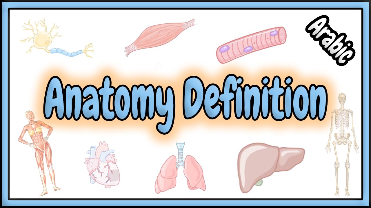 علم التشريح المحاضرة الاولى general anatomy(introduction)-anatomical terms