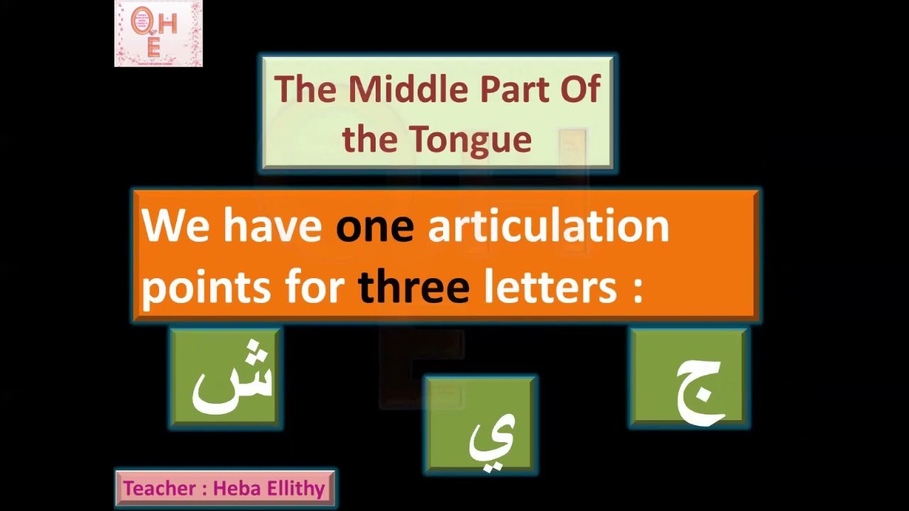 13 -The Articulation point of letter Daad ض makharij