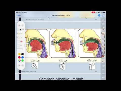 3 - The main articulation points of Arabic letters (makharij)