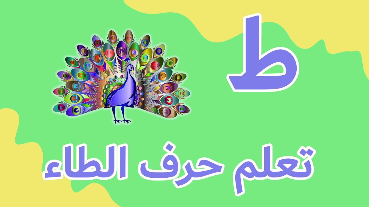 How to write the Arabic alphabet letter Taa’ ط , isolated #ShortsFriends
