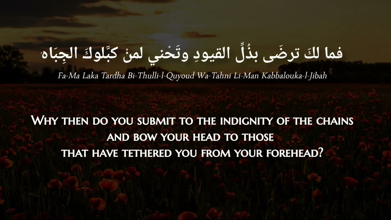 Majida El-Roumi - Khuleqta Taleeqan (MS Arabic) Lyrics + Translation ...