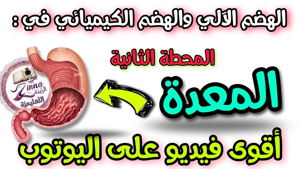 برنامج مادة العلوم الطبيعية رابعة متوسط Bem 2026 | قبل ماتبدا العام …لازم تعرف وش راح تقرا💫