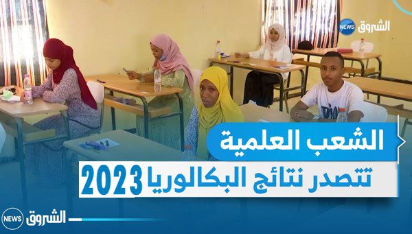 58 بالمائة .. نسبة النجاح في شهادة البكالوريا 2023 – taa3lim.com