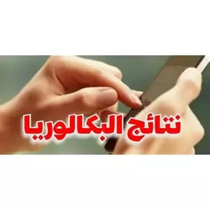 “bac.onec.dz resultat” نتائج البكالوريا 2024 في الجزائر – taa3lim.com